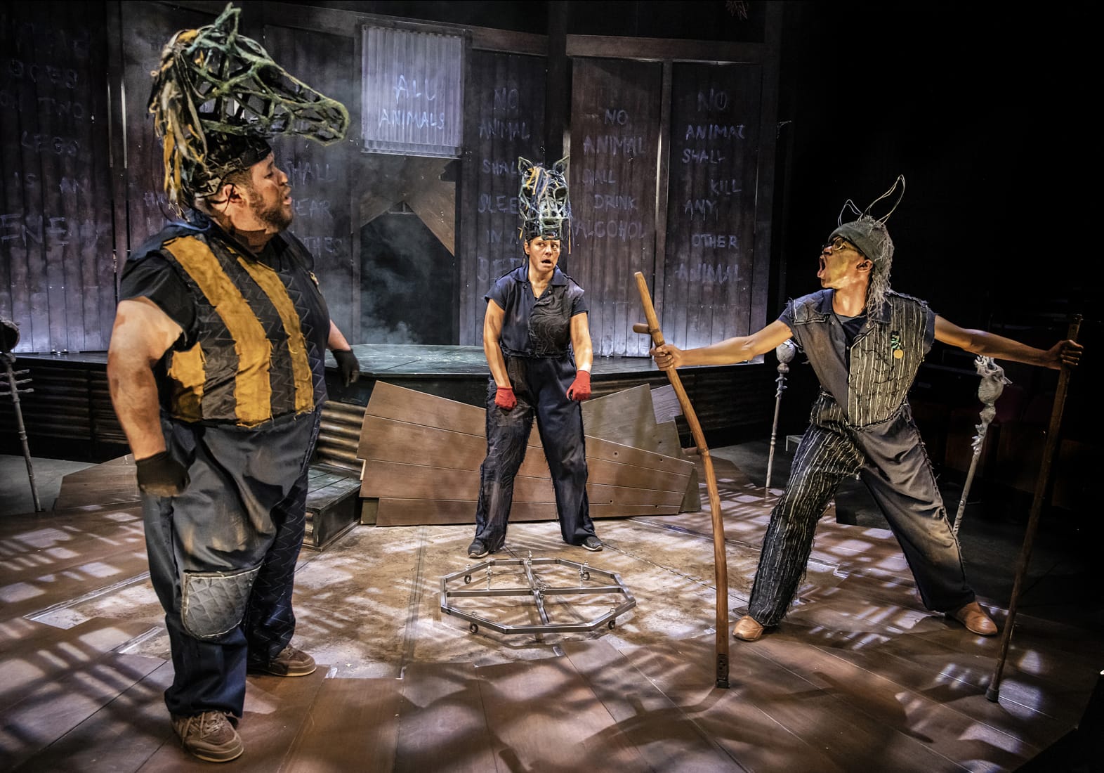 Animal Farm - Derby Theatre